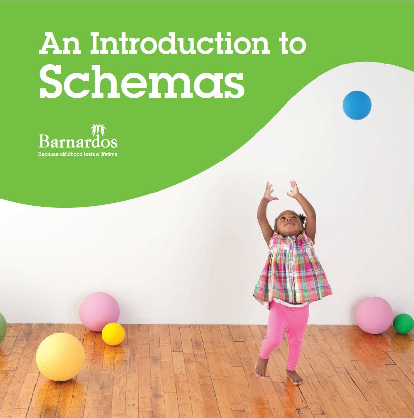 Ebook - An Introduction to Schemas – Barnardos Ireland Online Shop
